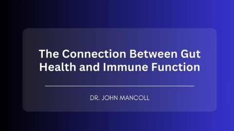 The Connection Between Gut Health and Immune Function | John Mancoll ...